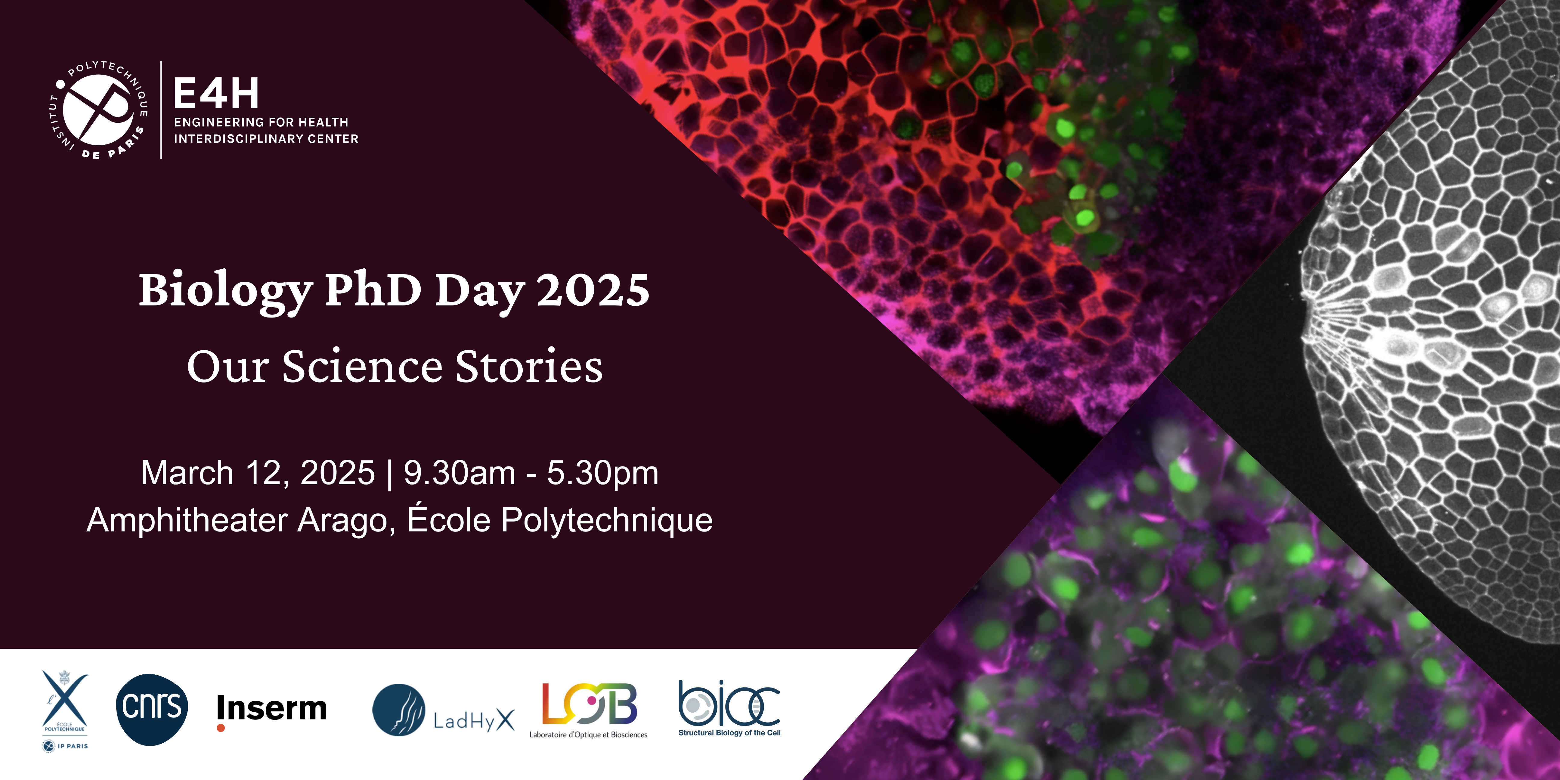 Biology PhD Day - Institut Polytechnique de Paris